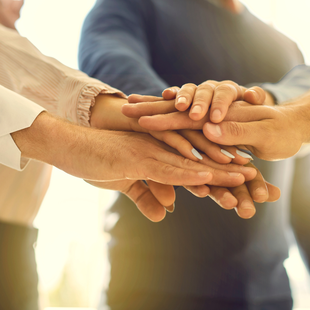 BSP Partner for WhatsApp Business - Messangi